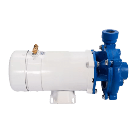 MORO USA DC 10: Heavy-Duty Cast Iron Washdown Pump